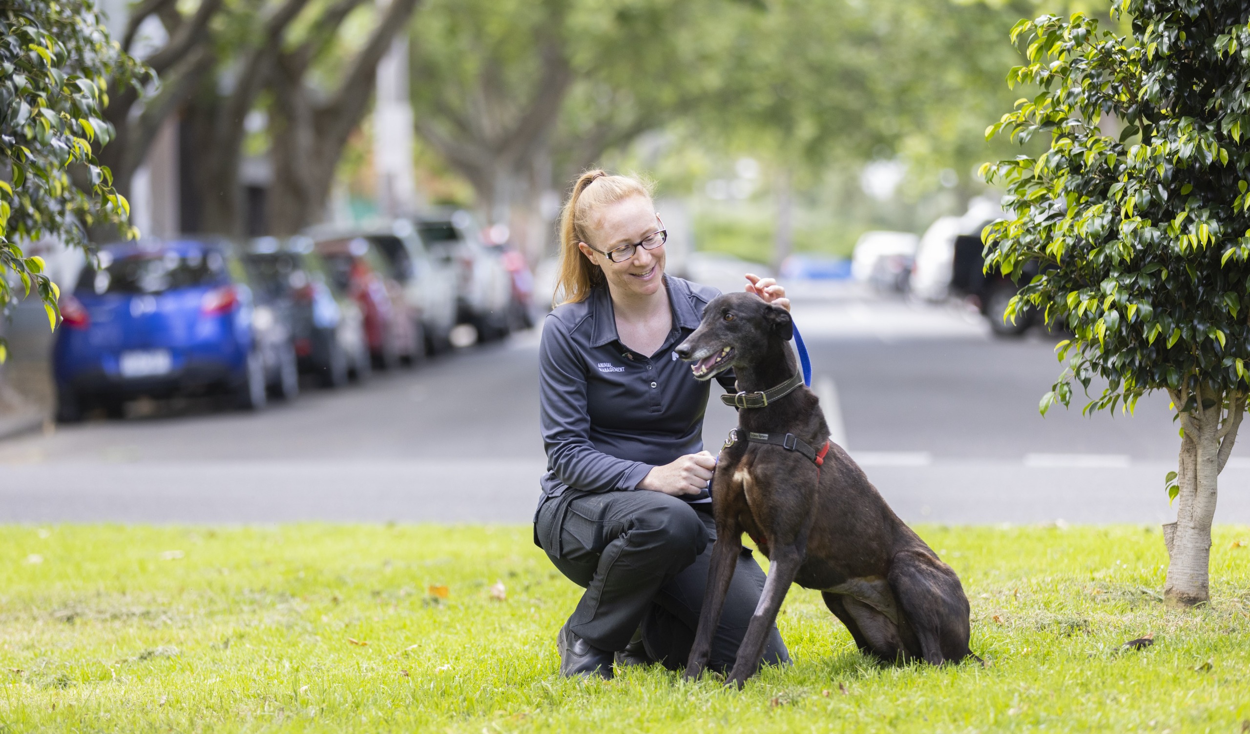 Community consultation