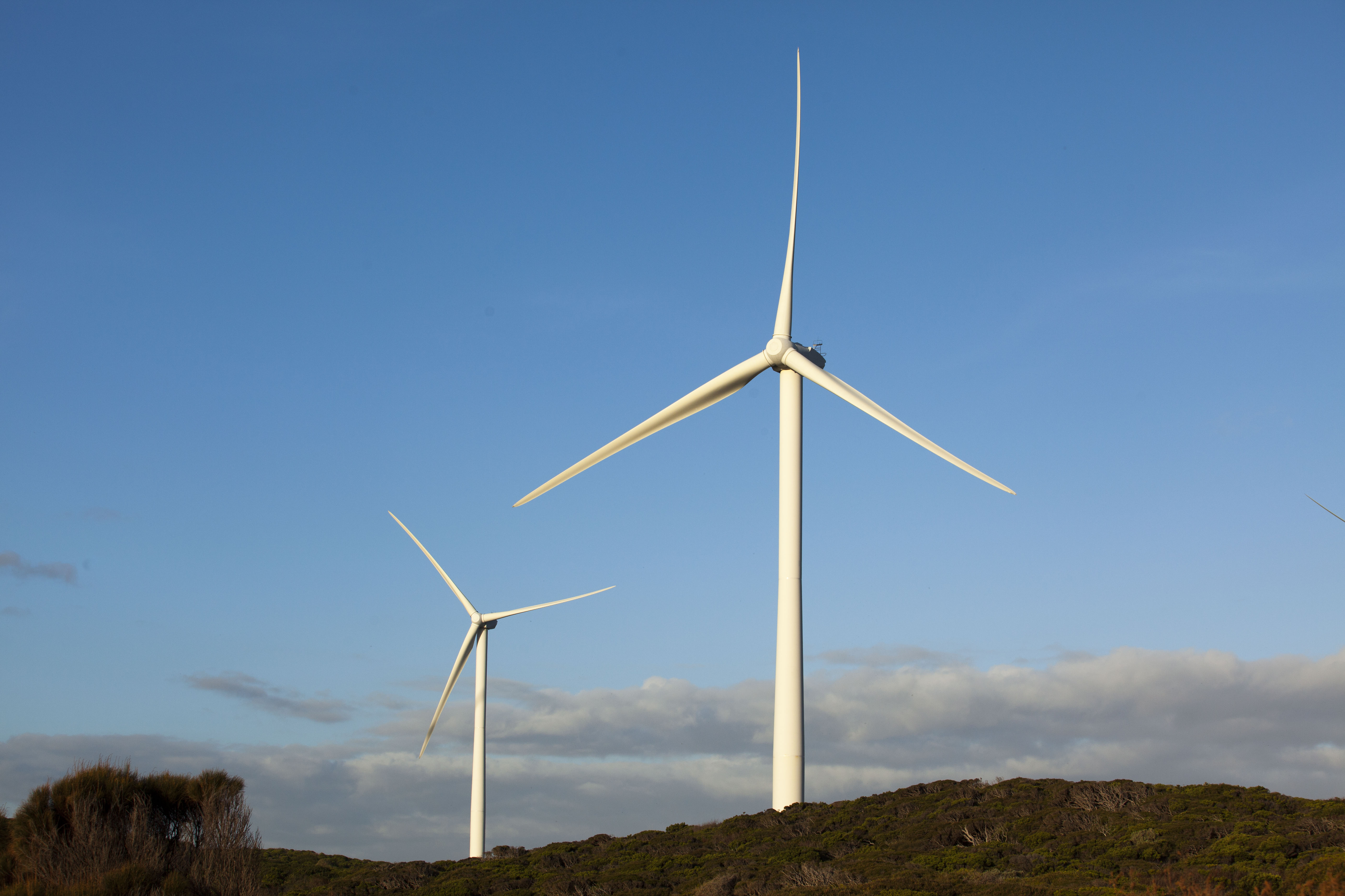 Climate Change Mitigation Strategy to 2050 | Participate Melbourne