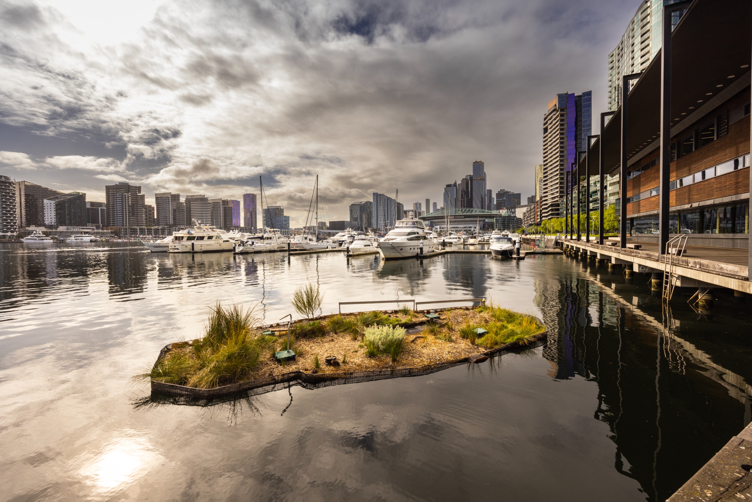 Docklands Urban Forest Precinct Plan | Participate Melbourne