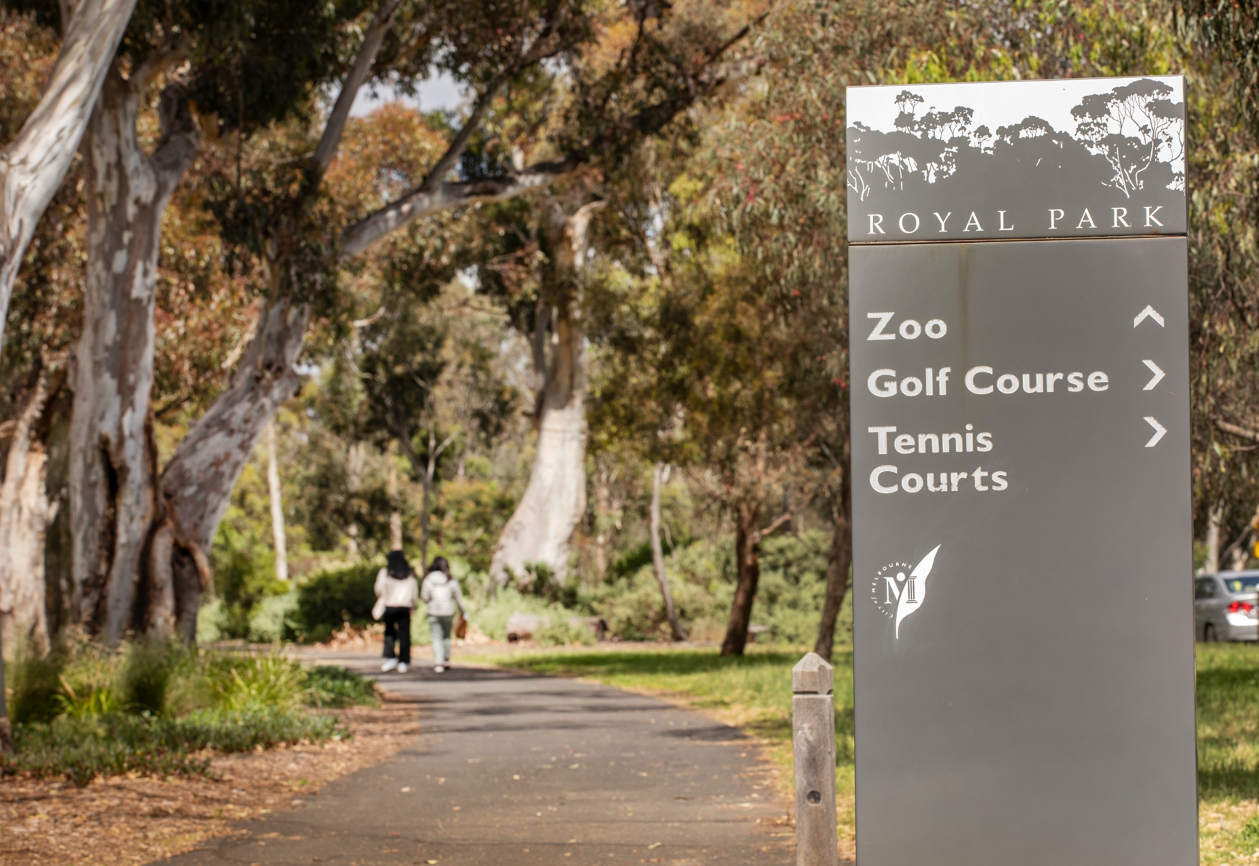 Movement through and within the park | Royal Park Master Plan ...