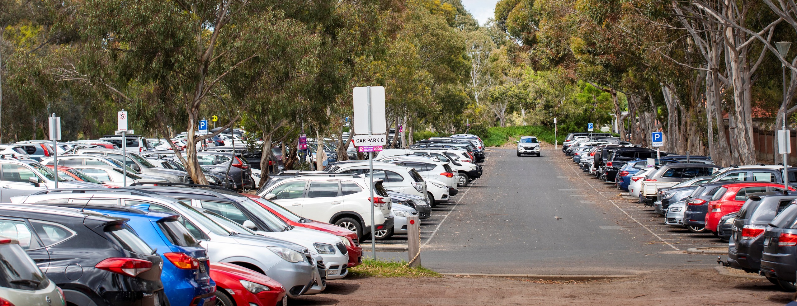 Parking, roads and transport | Royal Park Master Plan | Participate ...