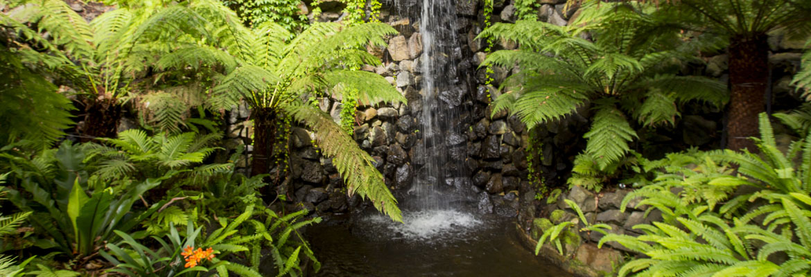 Precinct 3 | Community consultation | Domain Parklands Master Plan ...