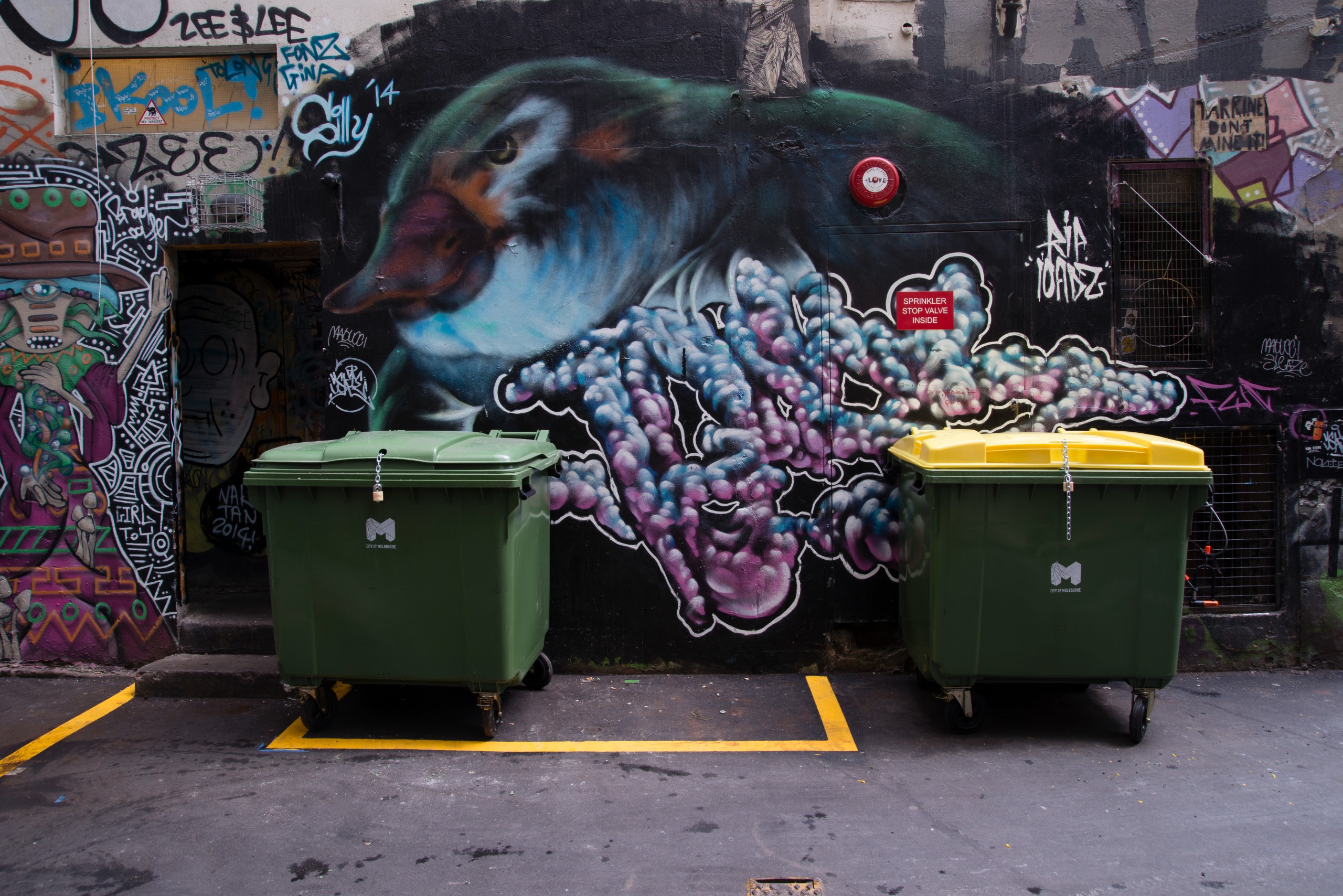 Have your say on waste collection for businesses in our CBD | Waste ...
